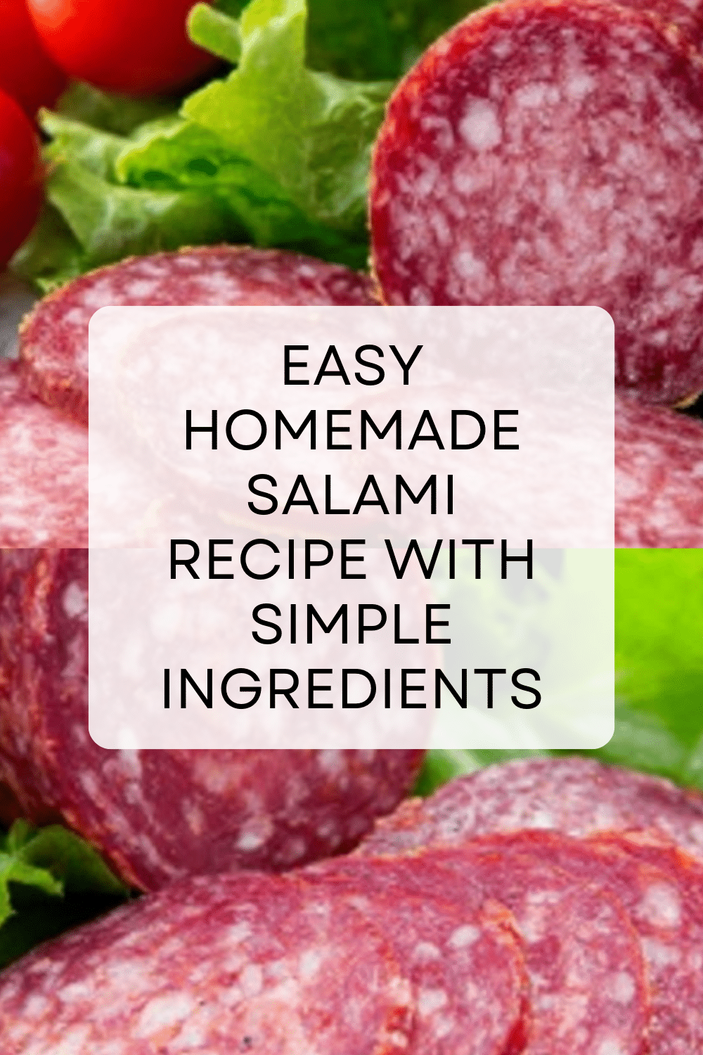 Homemade Salami: Easy Step-by-Step Cured Sausage Guide
